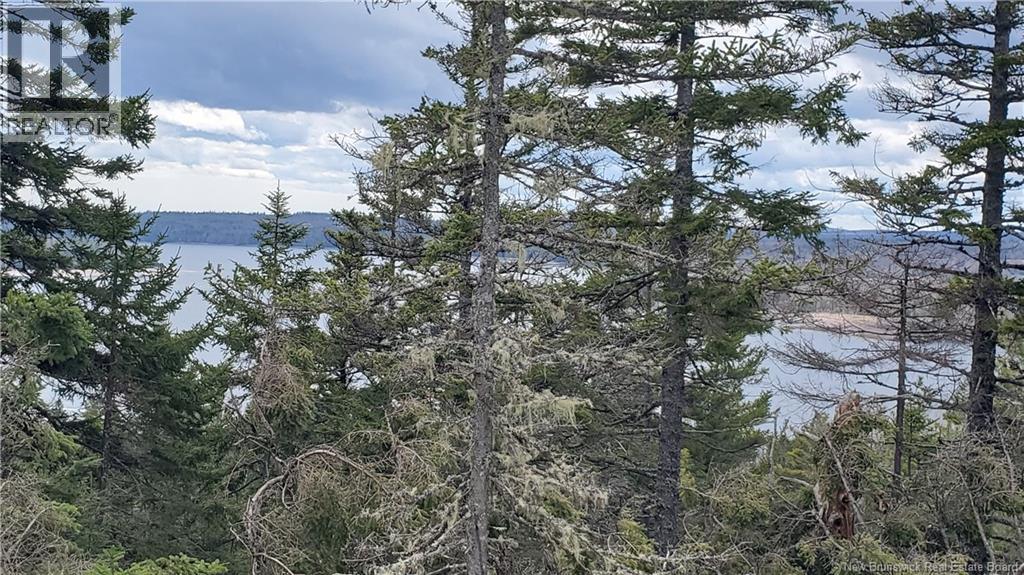 Cunningham Beach Dock Road, Chamcook, New Brunswick E5B 0A9 (29258147 ...