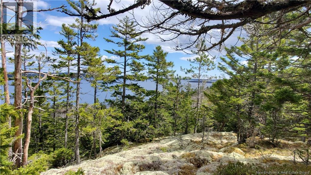 Cunningham Beach Dock Road, Chamcook, New Brunswick E5B 0A9 (29258147 ...